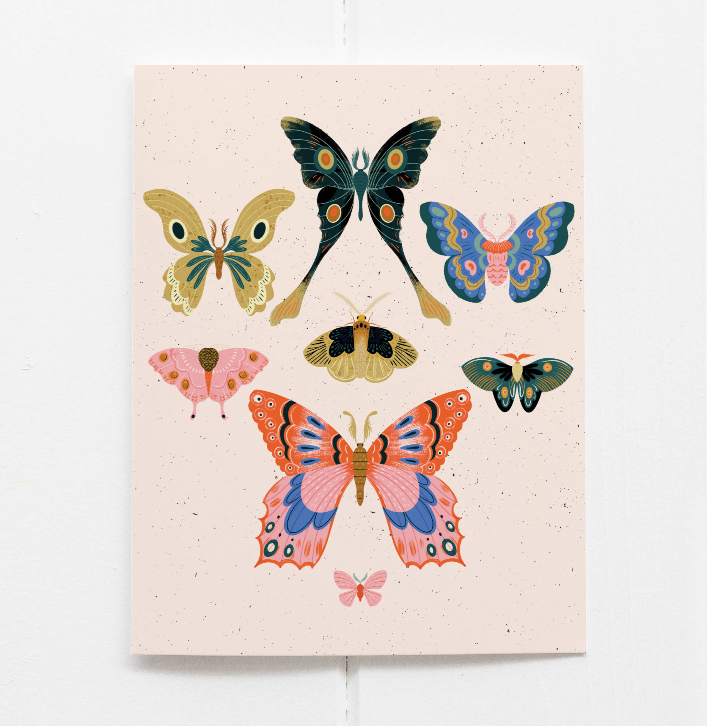 Olive & Company - Moths | ARTichoke Boutique - Cape Cod